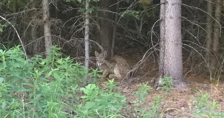 Successful Second Year for Environmental Training Program | BC Energy ...