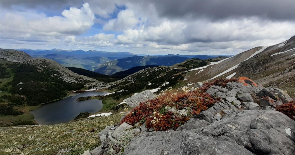 Carbon Capture and Storage | BC Energy Regulator (BCER)