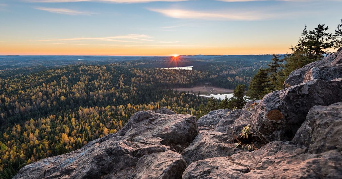 How an oil and gas site becomes green again | BC Energy Regulator (BCER)