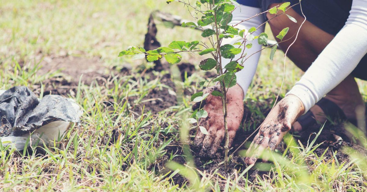 Restoration Partnership with Fort Nelson First Nation | BC Energy ...