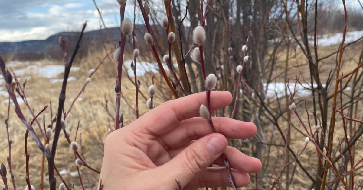Environmental Training Programs Support Indigenous Student Success | BC ...