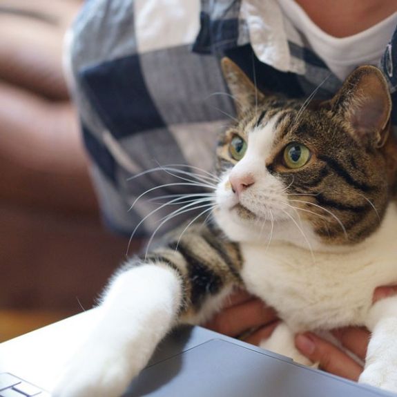 Working With Us | BC Energy Regulator (BCER)